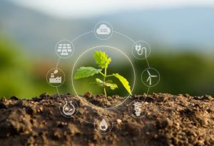 Compressed natural gas - CNG VIỆT NAM